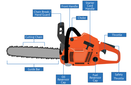 anatomy of a chainsaw - SafetySkills anatomy of a chainsaw - SafetySkills