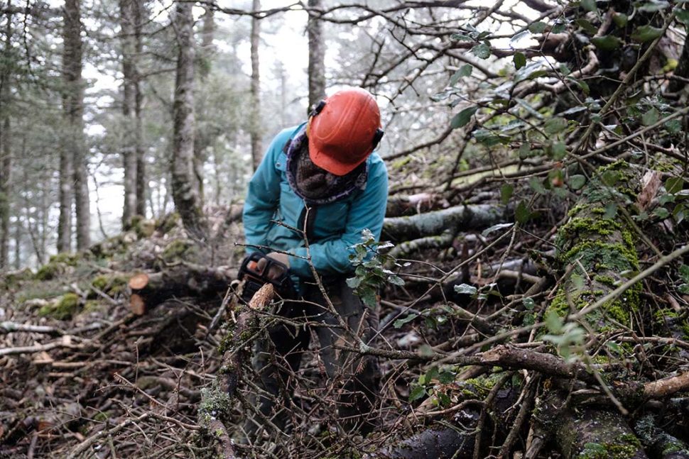 Proper Chainsaw Safety and Operation - SafetySkills Online Training Proper Chainsaw Safety and Operation - SafetySkills Online Training